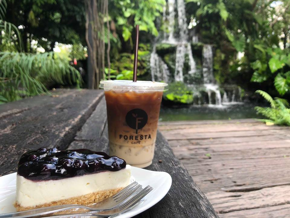 พาชิมคาเฟ่ป่าในกรุง ร้าน "Foresta Cafe" (ฟอเรสต้าคาเฟ่)