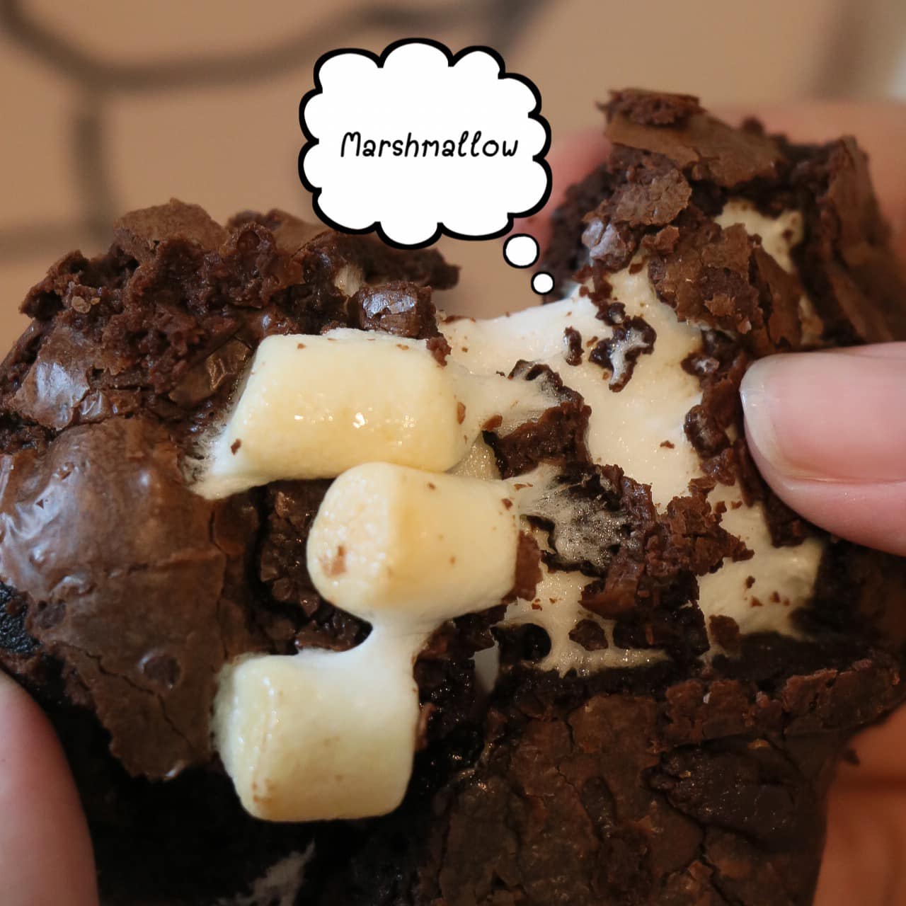 แนะนำคุกกี้ระดับพรีเมียมต้อง Gavinson เท่านั้น!